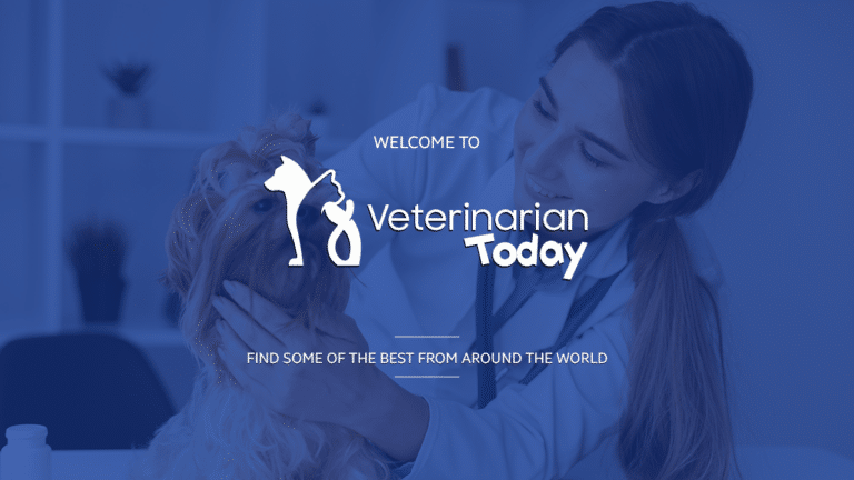 Snake Reproduction: How Snakes Lay Eggs and Reproduce