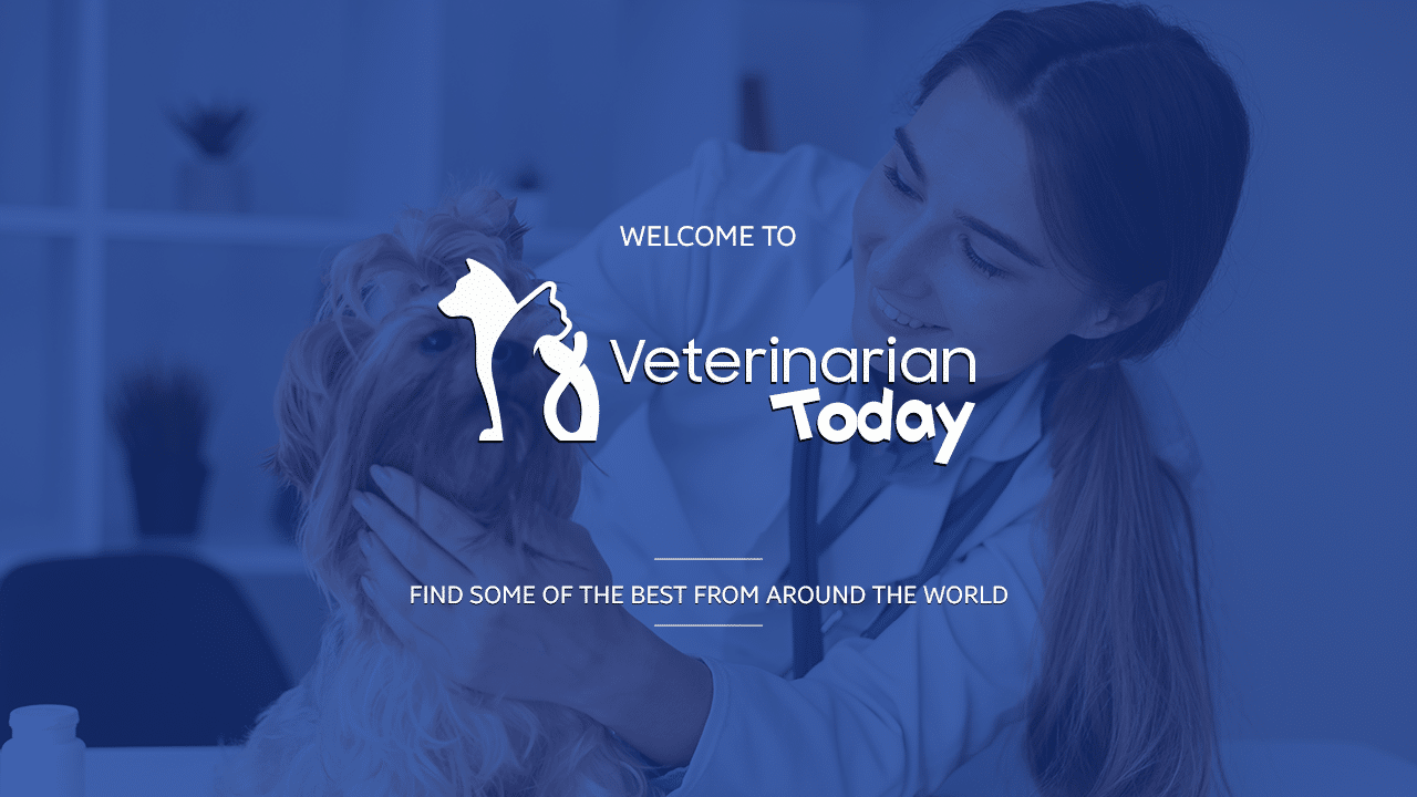 Snake Reproduction: How Snakes Lay Eggs and Reproduce