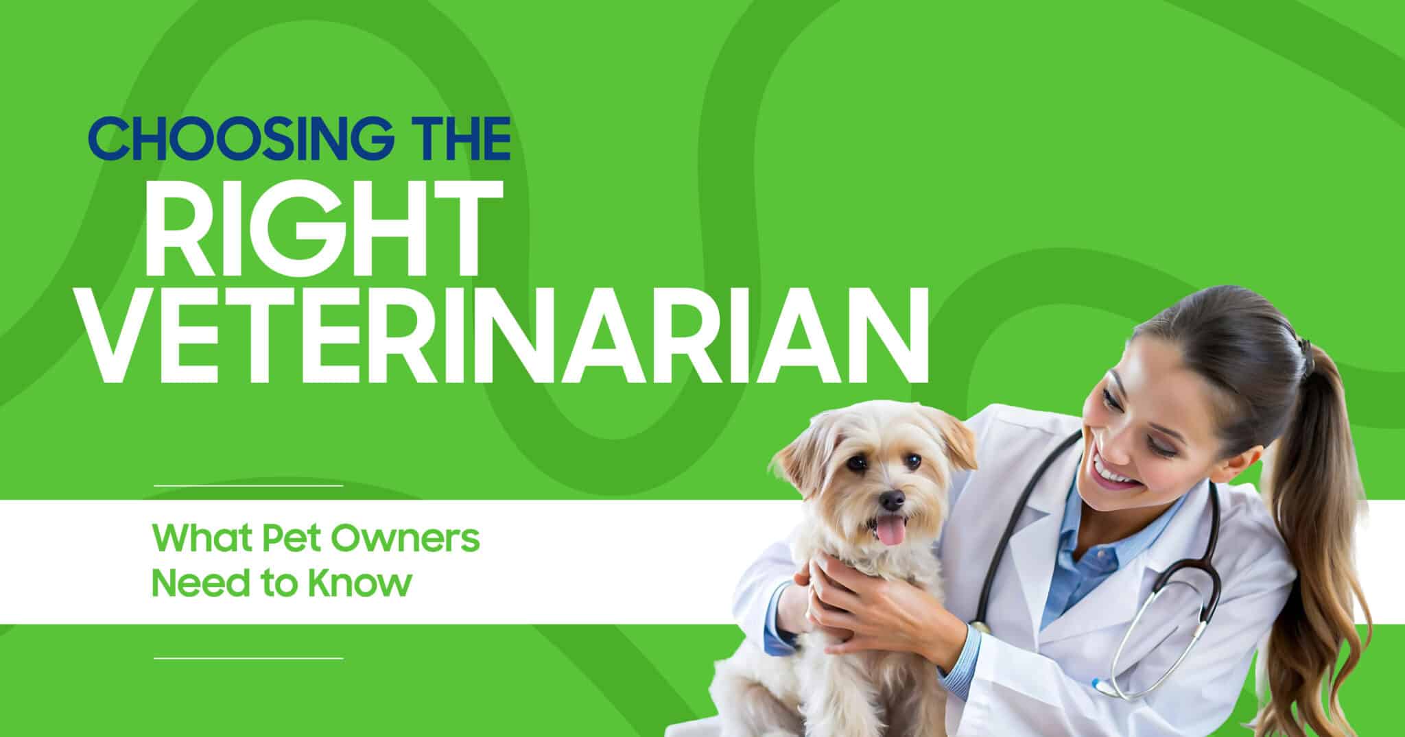 Choosing the Right Veterinarian – Key Tips for Pet Owners