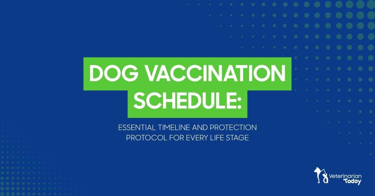 Dog Vaccination Schedule: A Comprehensive Guide - What You Need to Know